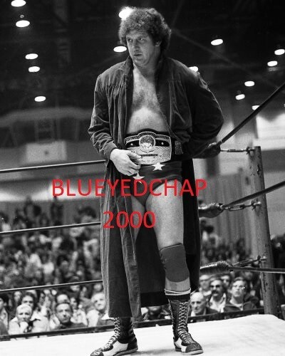 Terry Ring Wrestler
