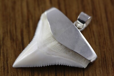 Shark Tooth Shark Chain Pendant Silver Pendant 925 Silver | eBay