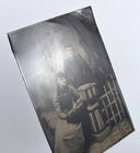 Tintype Photo Victorian Woman Fashion Painted Backdrop | eBay