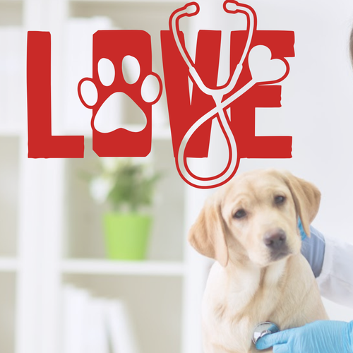 "Vet Love Decal - RVT Vet Tech Sticker - Heart Pawprint - Pick Size ...