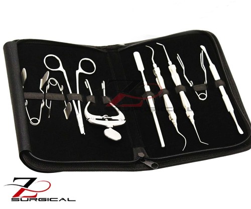 Rabbit & Rodent 9_Pcs Set of Dental Instruments Complete Kit With Black ...