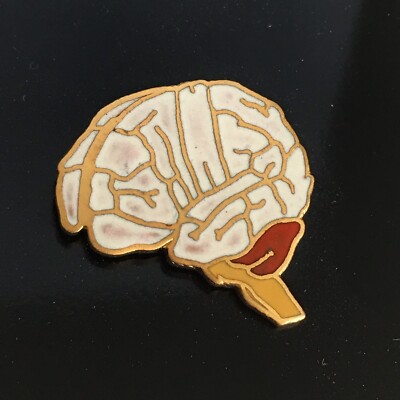 Vtg Brain Lapel Pin Wm Spear anatomy medical pin Surgeon Gold Plated ...