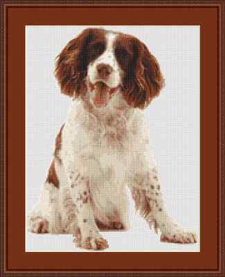 English Springer Spaniel Dog Cross Stitch Kit | eBay