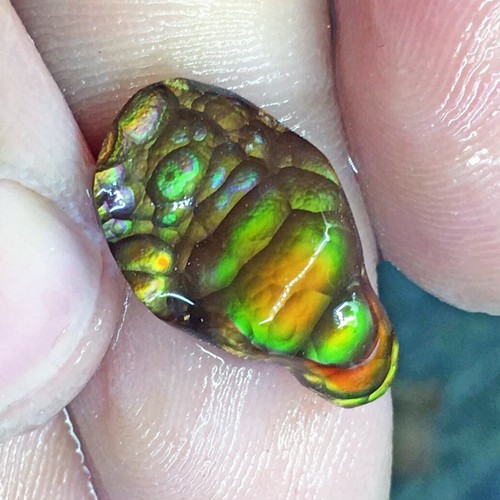 Fire Agate Gem AAA Highest Quality 8.22 ct. | eBay