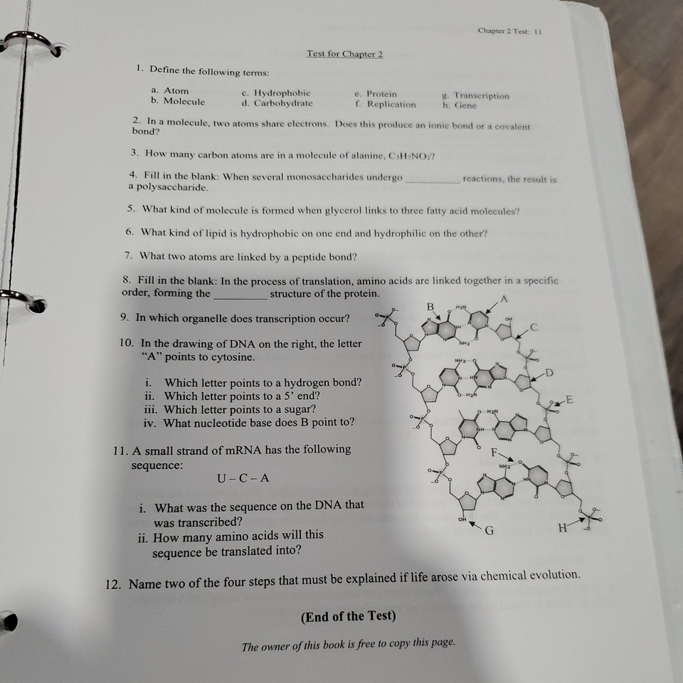 Discovering Design W/Biology Text, 2 Tests, Berean Builders, Audible ...