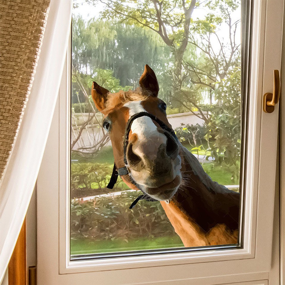 Horse Wall Decal Wild Peel Stick Farm Animal Window Creative Stickers ...