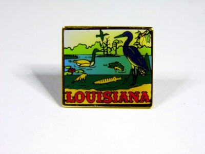 Vintage colorful Louisiana pelican swamp scene lapel hat pins | eBay
