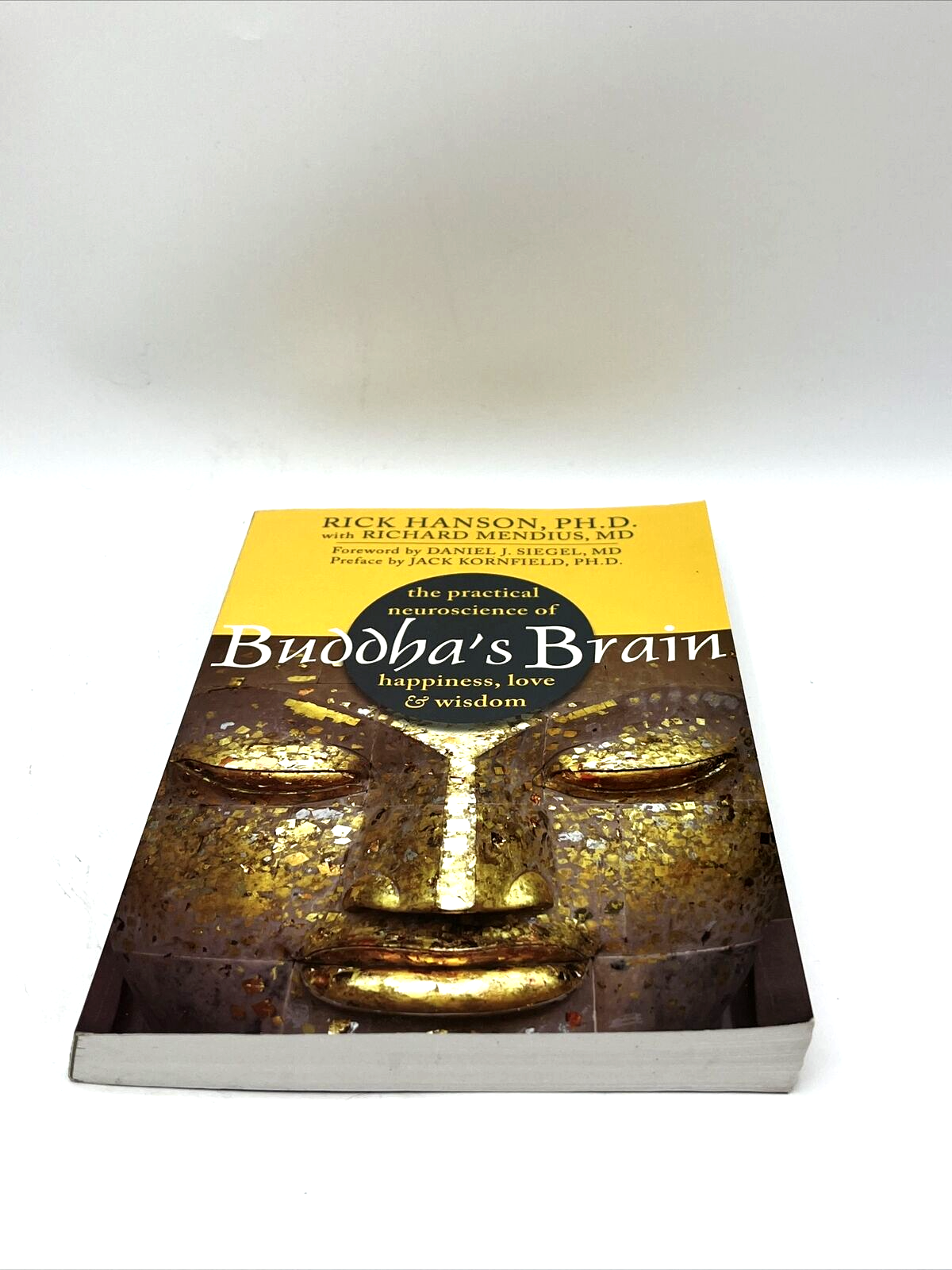 Buddah’s Brain Happiness Love & Wisdom Rick Hanson PH.D With Richard ...