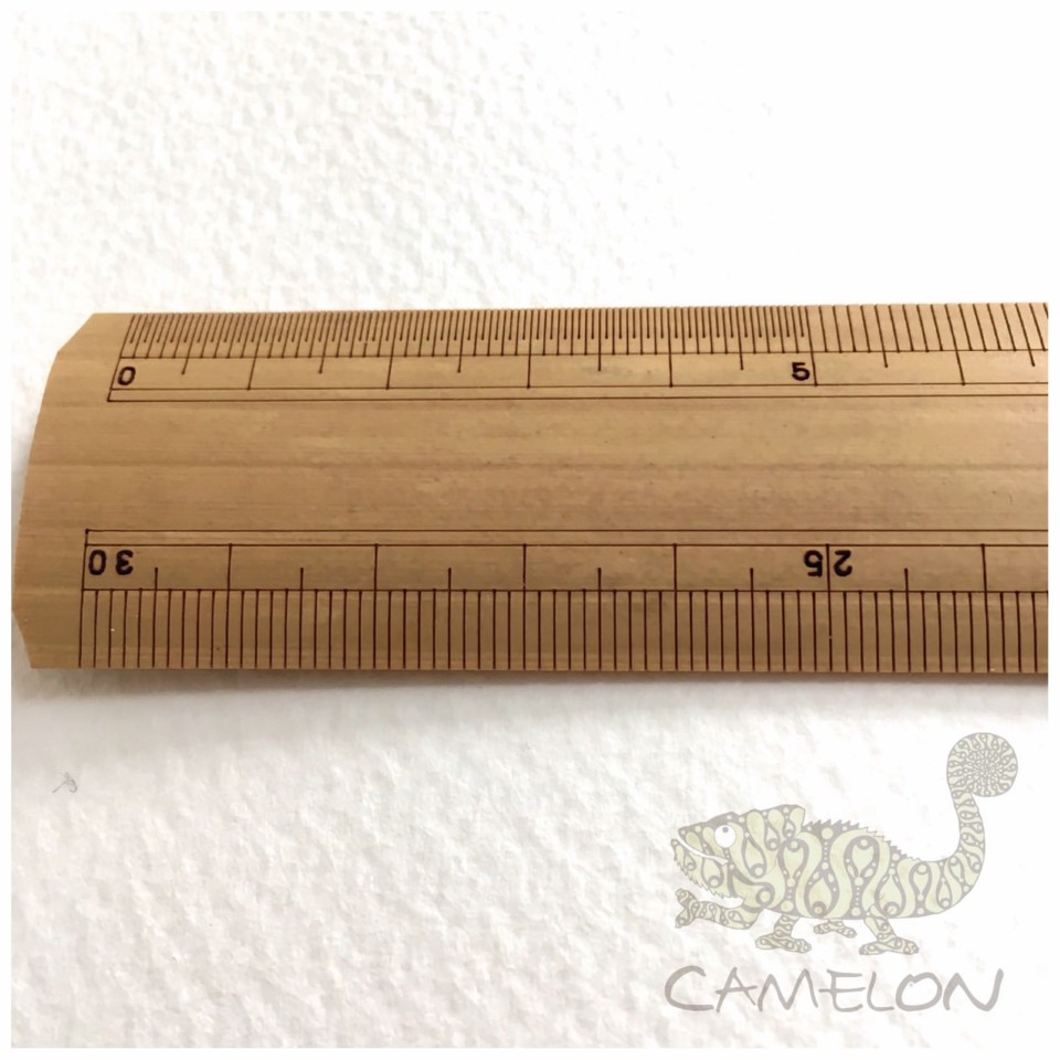 MADE IN JAPAN Japanese Bamboo Rule Small Ruler Scale 30cm 300mm | eBay