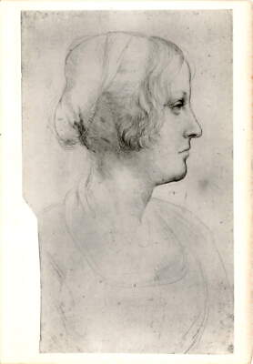 Leonardo da Vinci, Young Woman, 1486, Human form, Intricate detail ...