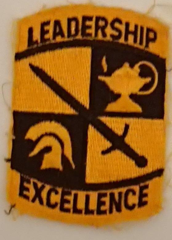 Cloth Patch - Army Leadership/Excellence Sleeve Patch 9 x 60cm New ...