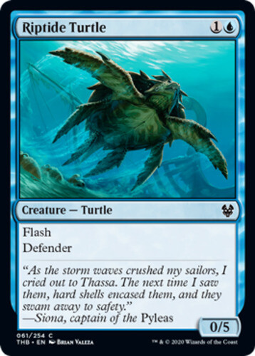 Riptide Turtle Light Play, English Magic the Gathering MTG Theros ...