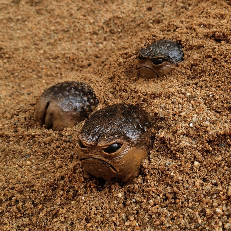 Weird Queer Grumpy Frog Toad Statue Ugly Angry Outdoor Garden Yard ...