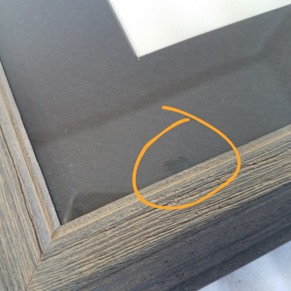 Dan Brewer Free Trapper Framed Print BUFFLER 21.5"x23.5" SIGNED 1982 ...