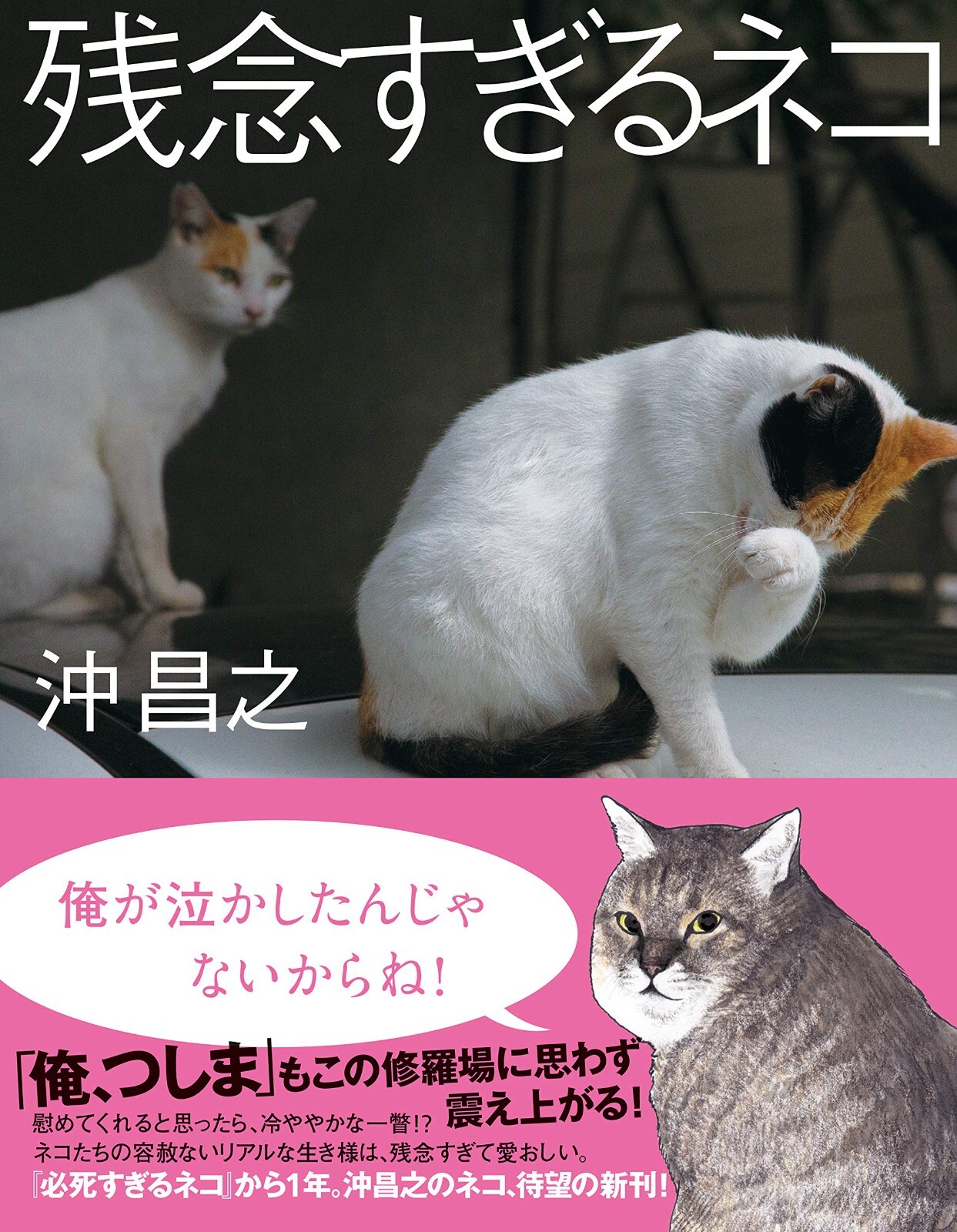 4479393013 Japanese Photo Book Cat Neko Kawaii Pet Animal amusing ...