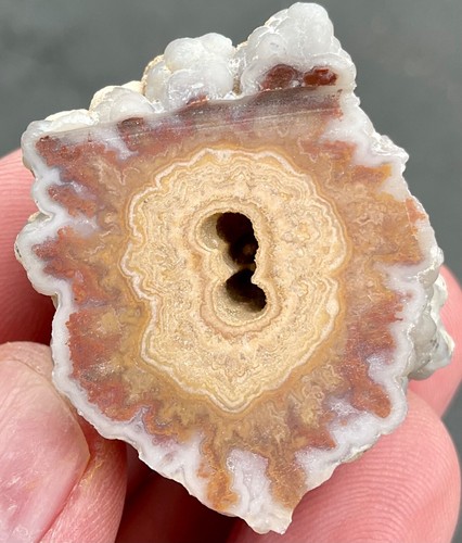 34g Botryoidal Laguna Lace Agate Geode stromatolite blue chalcedony A ...