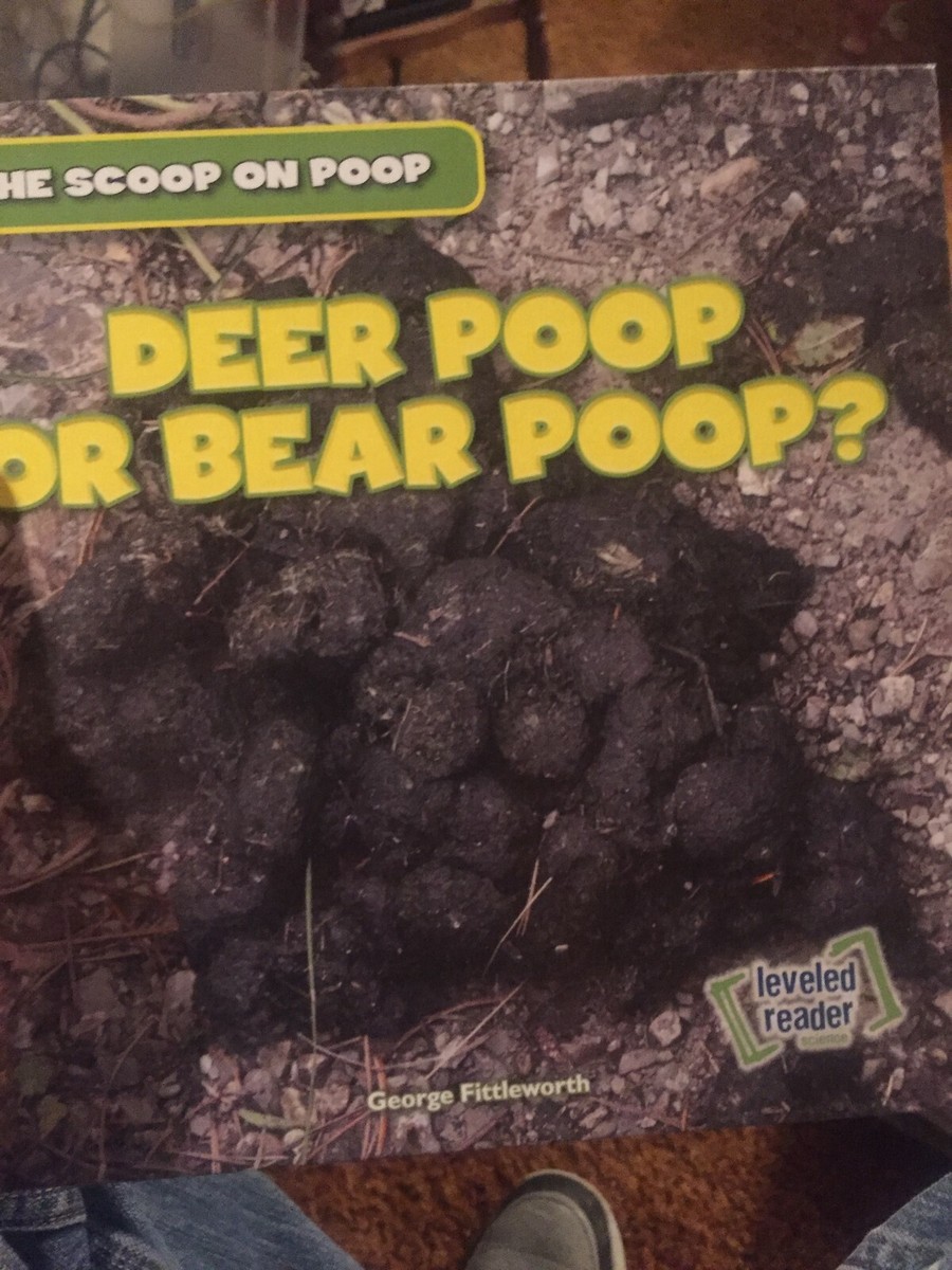 Bear Droppings
