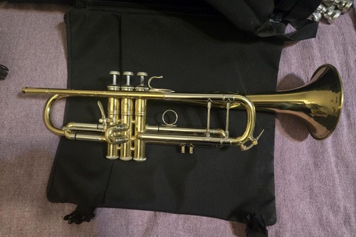 Bach Stradivarius Professional B-flat Trumpet - Vintage + Torpedo Case ...
