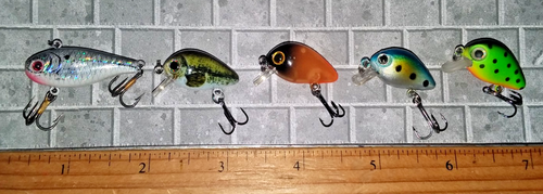 #B 1 pc. SHAD Darter Baitfish By LINDY SHAD PLUS 4 PCS - tiny CCL ...