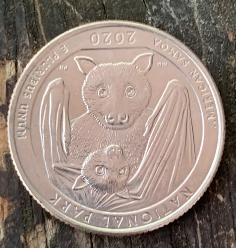 Rare 2020 Upside Down Bat Quarter | eBay