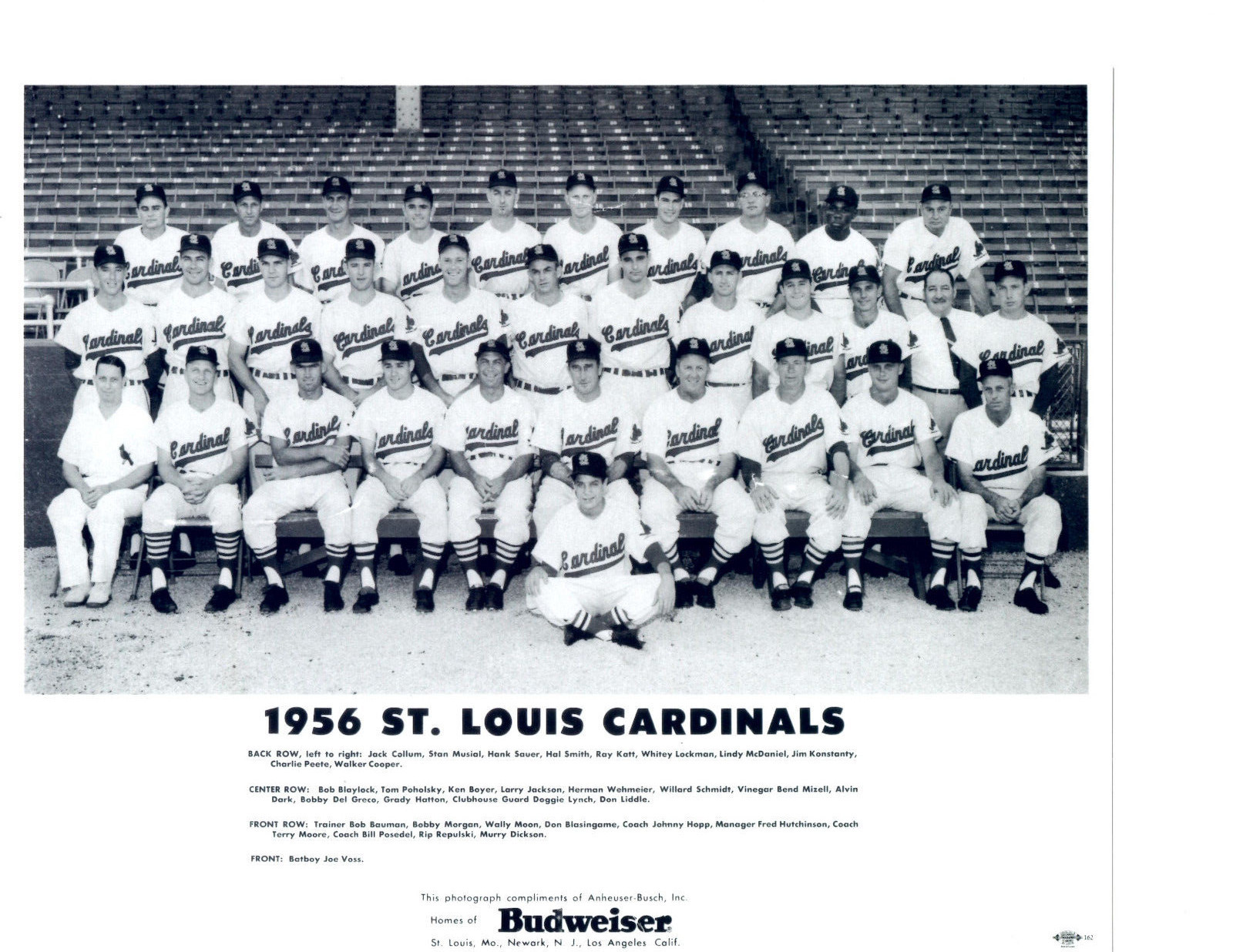 1956 ST. LOUIS CARDINALS 8X10 TEAM PHOTO MUSIAL MIZELL DARK BASEBALL | eBay
