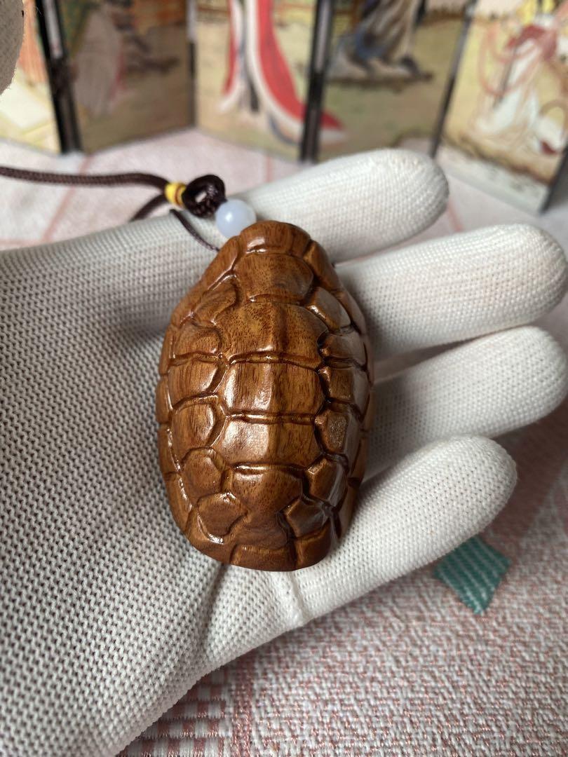 Wood Turtle Shell Home Is Where Your Shell Is: Learning About Turtles