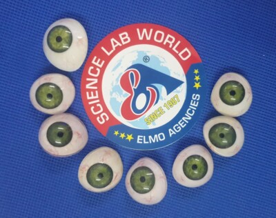 Artificial Realistic & Prosthetic Eyes (Set of 8) Brand New.... | eBay