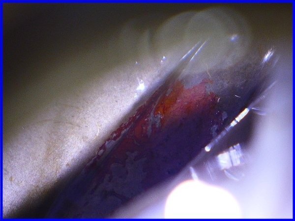 6x07QS25 HONDA 1981 CB900F BOL D'OR Genuine Fuel Tank CB750F CB1100F | eBay