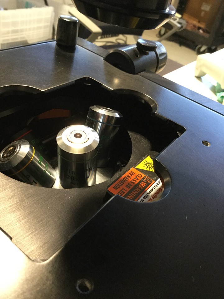 LIFE TECHNOLOGIES EVOS FL MICROSCOPE SYSTEM AMF4300 | eBay