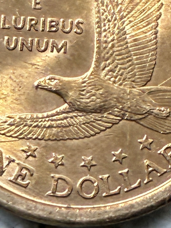 An error Sacagawea wounded eagle dollar coin, | eBay