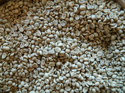 5, 10, 25 LB Nicaragua SHGEP Green (unroasted) Beans | eBay