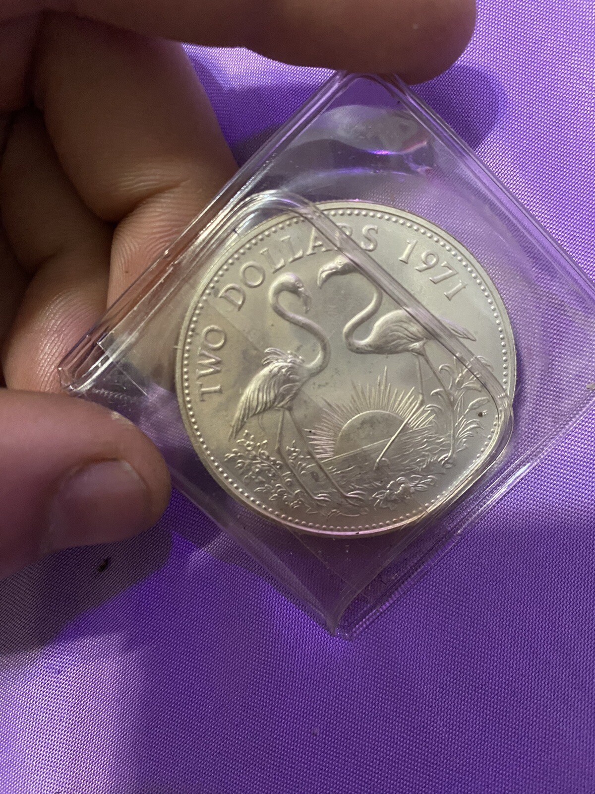 1971 DATED TWO DOLLARS ($2) SILVER COIN FROM THE BAHAMAS w/ 2 FLAMINGOS ...