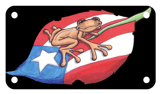 Puerto Rico Flag 4" X 7" ATV Motorcycle License Plate Boricua Coqui ...