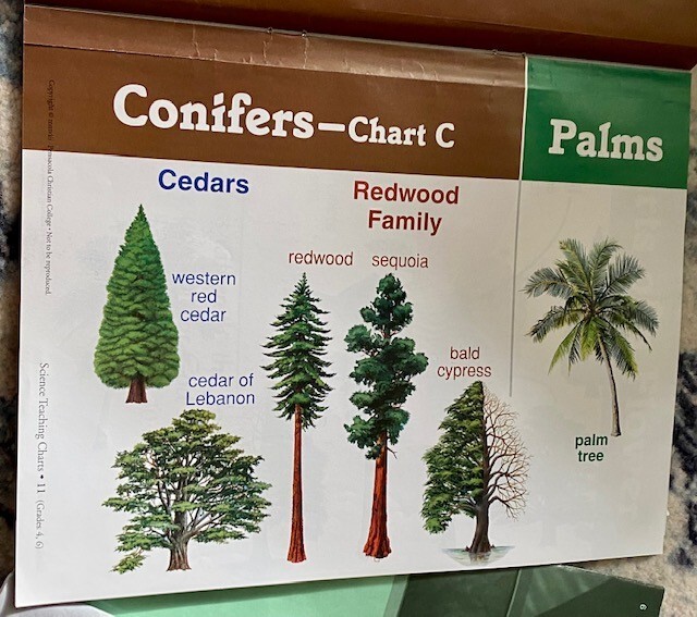 Abeka Homeschool Science Observing Gods Word 6 4pc set key tests ...