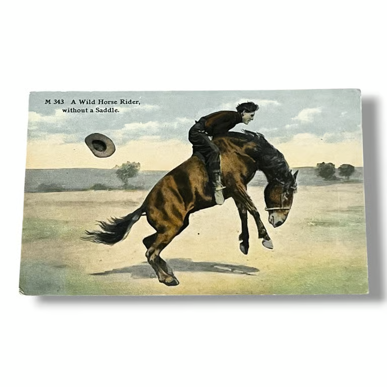 Postcard A Wild Horse Rider Without Saddle Bucking Contest Cheyenne ...