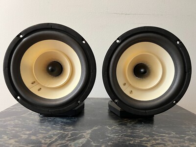 8 inches full-range field coil paper cone drivers, hand-made (a pair ...