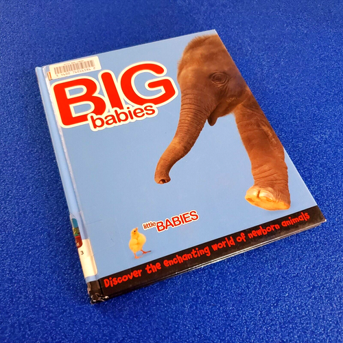 BIG BABIES LITTLE BABIES HARDCOVER CHILDREN'S ANIMAL NATURE PICTURE ...
