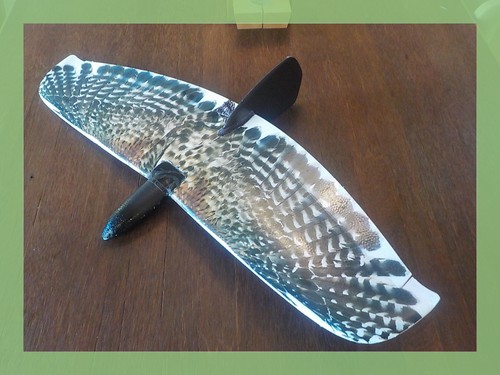 Dream Flight Alula Trek R/C Glider | eBay
