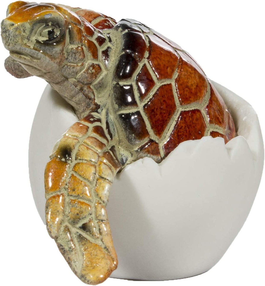 Baby Sea Turtle Hatching Drawings Sea Turtles Hatch Images – Browse