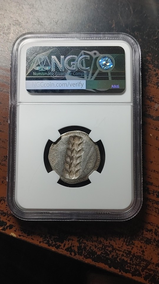 Lucania Silver Stater Greek Metapontum 510-470 BC NGC Ancients Choice F ...