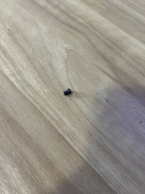 Winchester Model 97/ 1897 Shotgun, Magazine Plug Screw, New Original, W ...