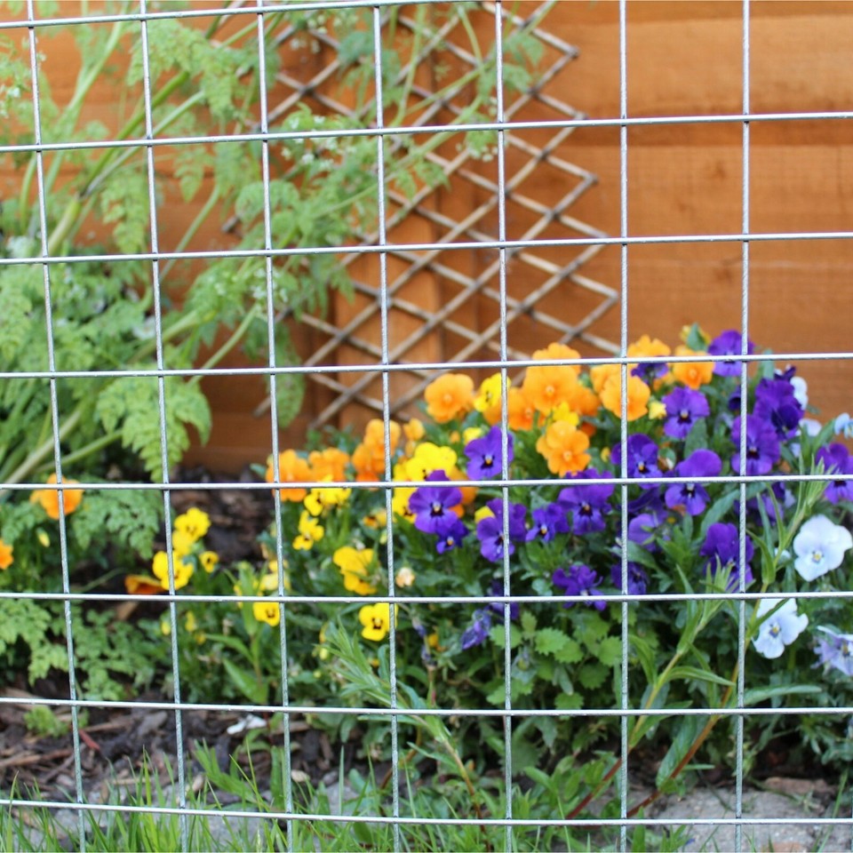 Galvanised Welded Wire Mesh Panels Chicken Run Rabbit Hutch Pet Coop ...