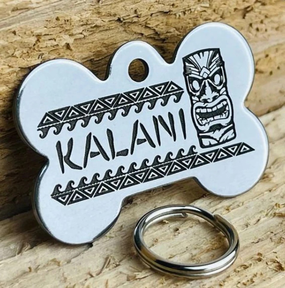 Custom Deep Engraved Stainless Steel Pet ID Tag - Personalized Dog Cat ...