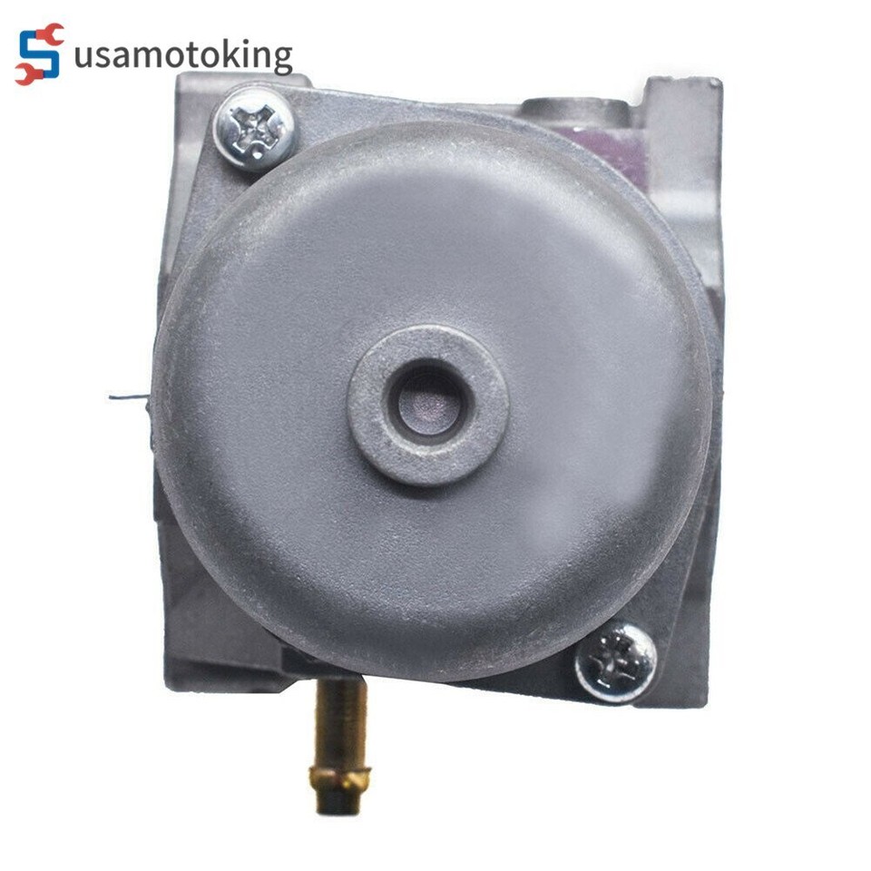 CARBURETOR CARB For Briggs & Stratton 286702 286707 289702 289707 ...