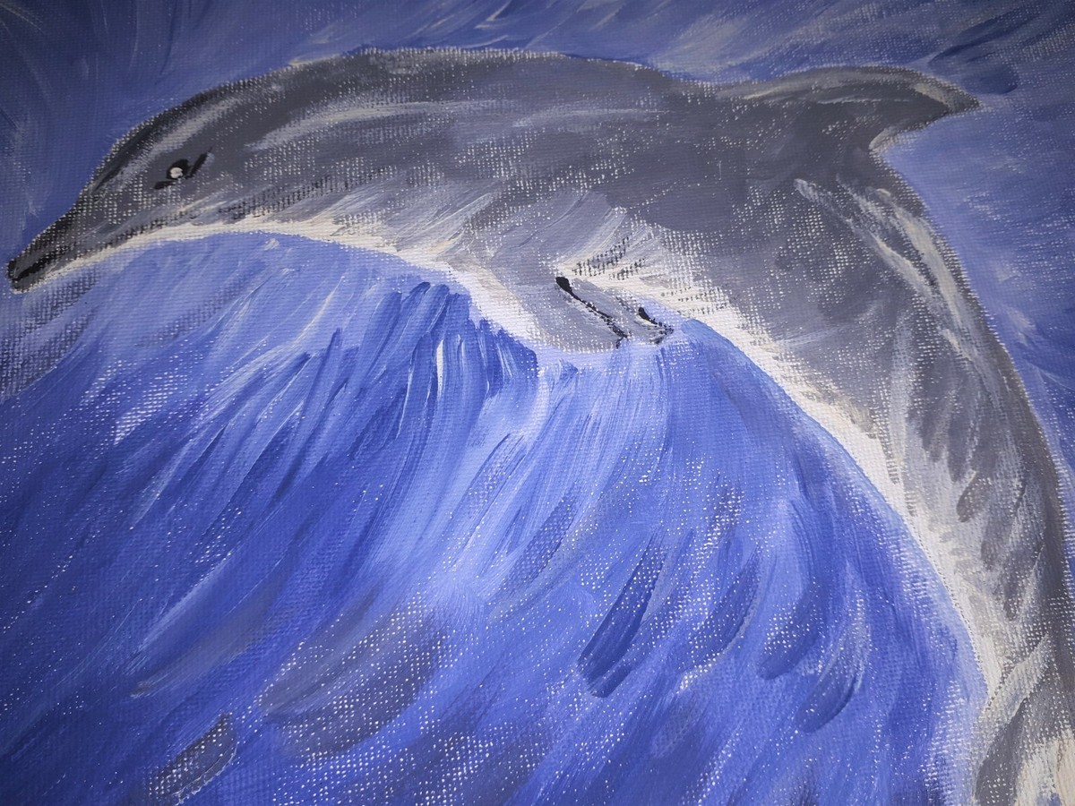Acrylbild Delfin