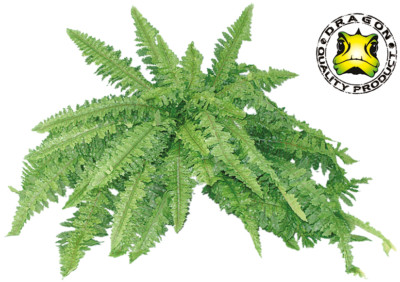 Waldfarn ca. 90cm KÜNSTLICHEPFLANZE KUNSTPFLANZE Terrarium /GAS027 ...