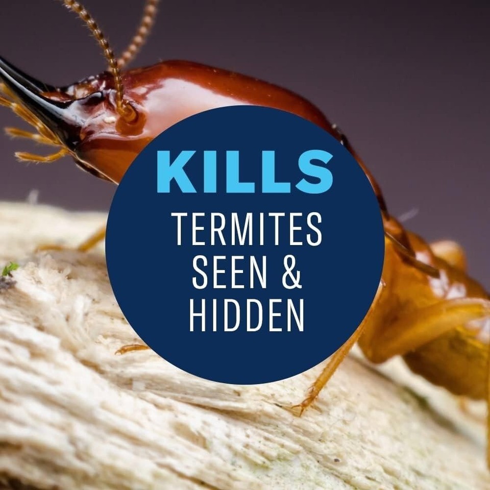 BioAdvanced Termite and Carpenter Bee Killer Plus, Foam, 18 oz ...