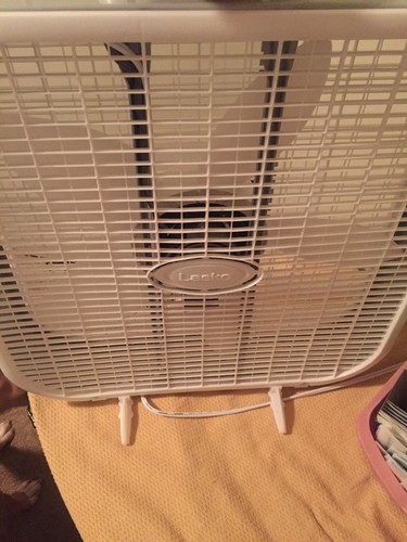 Lasko 20-Inch, 3-Speed Portable Box Fan - White (3733) for sale online ...