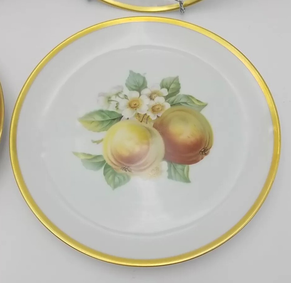 Vintage Set/5 HUTSCHENREUTHER GERMANY PASCO 8" Dessert Plates Gold Rim ...