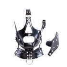 Detachable Plug Mouth Gag Restraint PVC Leather Hood Head Harness | eBay
